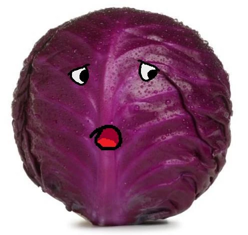 Red Cabbage | Annoying Orange Fanon Wiki | Fandom