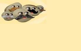 Character Guide | Annoying Orange Fanon Wiki | Fandom