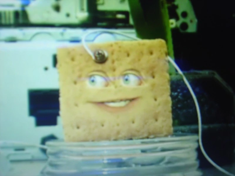 Graham Cracker | Annoying Orange Fanon Wiki | Fandom