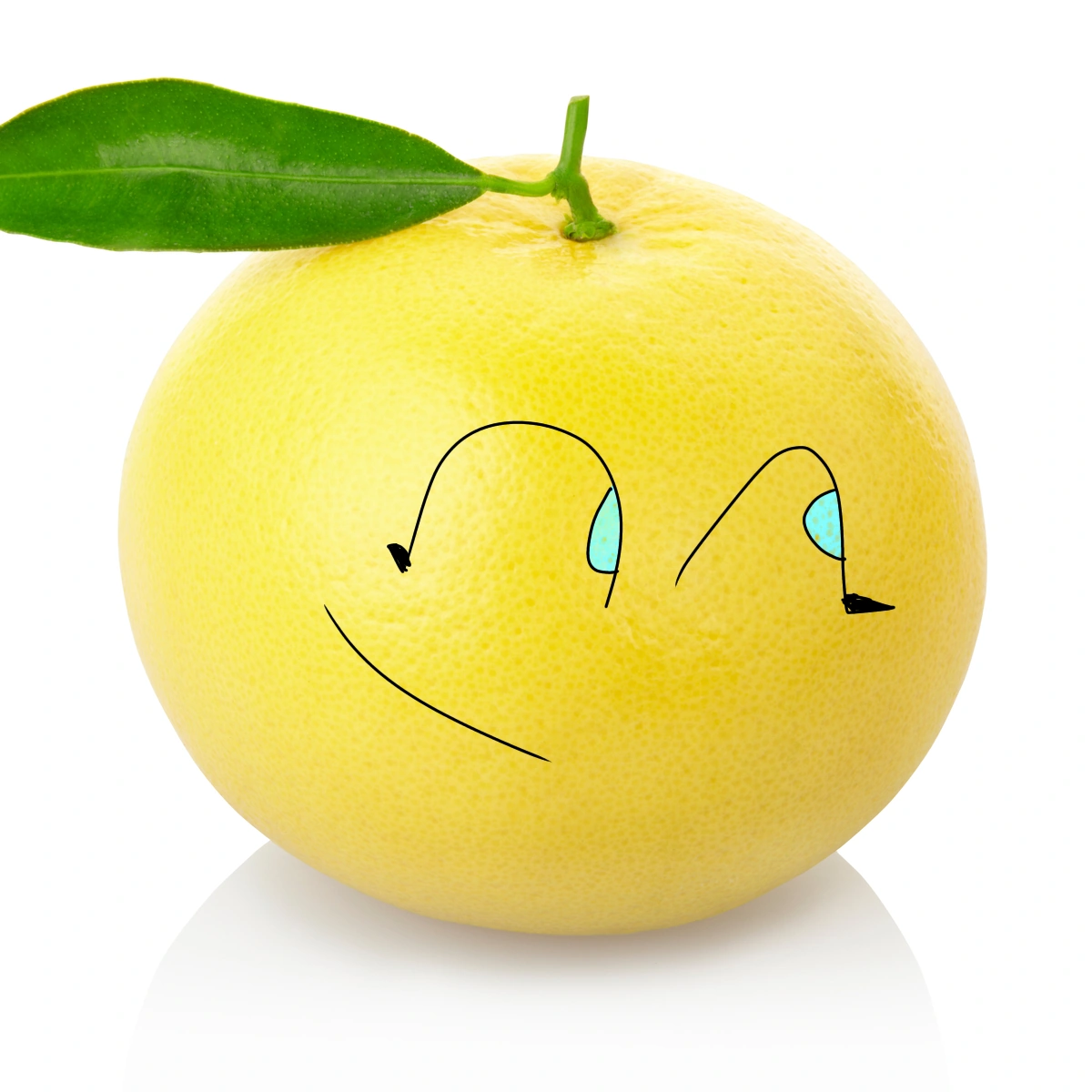 Sourmelon | Annoying Orange Fanon Wiki | Fandom