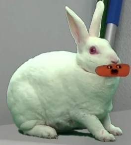 Bunny Rabbit | Annoying Orange Fanon Wiki | Fandom