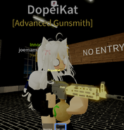 Weapons | Anomic Wiki | Fandom