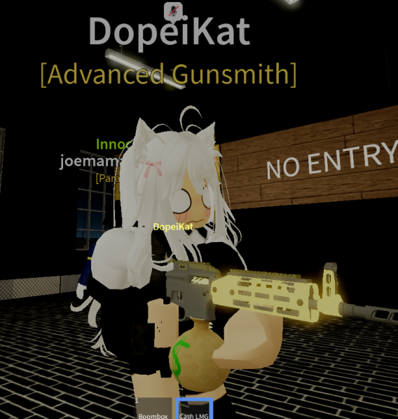 Cash LMG | Anomic Wiki | Fandom