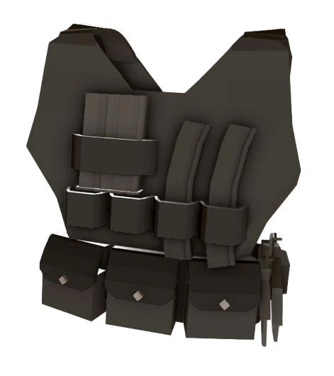 SWAT Vest | Anomic Wiki | Fandom