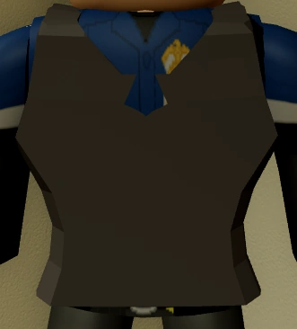 Simple Vest | Anomic Wiki | Fandom