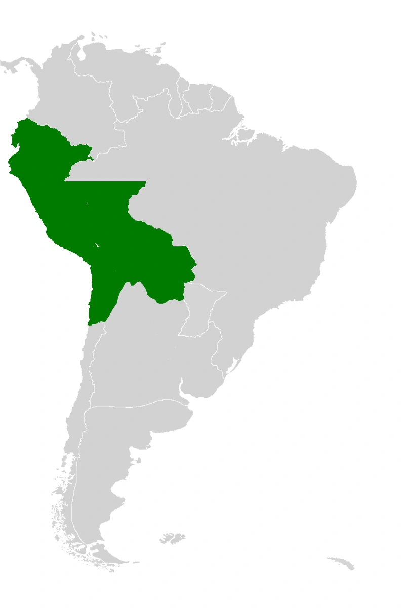 Perú | Another Global Orchestra Wiki | Fandom