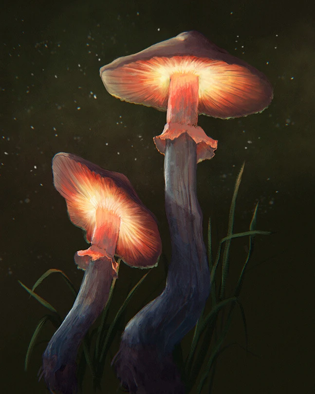 Champignon explosif | Wiki Another World | Fandom