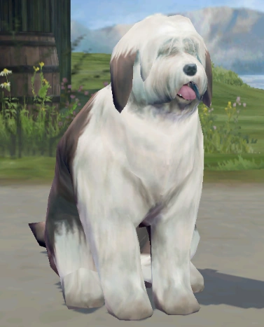 Princess | Cing Wiki | Fandom