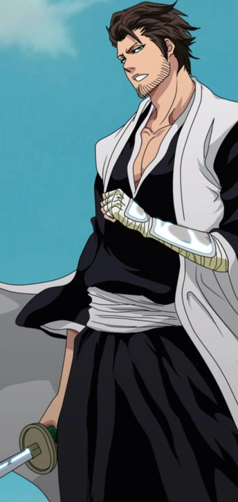 Shimei Raiden | Anime Revolution Sprites PBF Wiki | Fandom