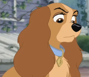 The Regular-Cocker-Spaniel Lady | The Shared-Combined Crossovers for An ...