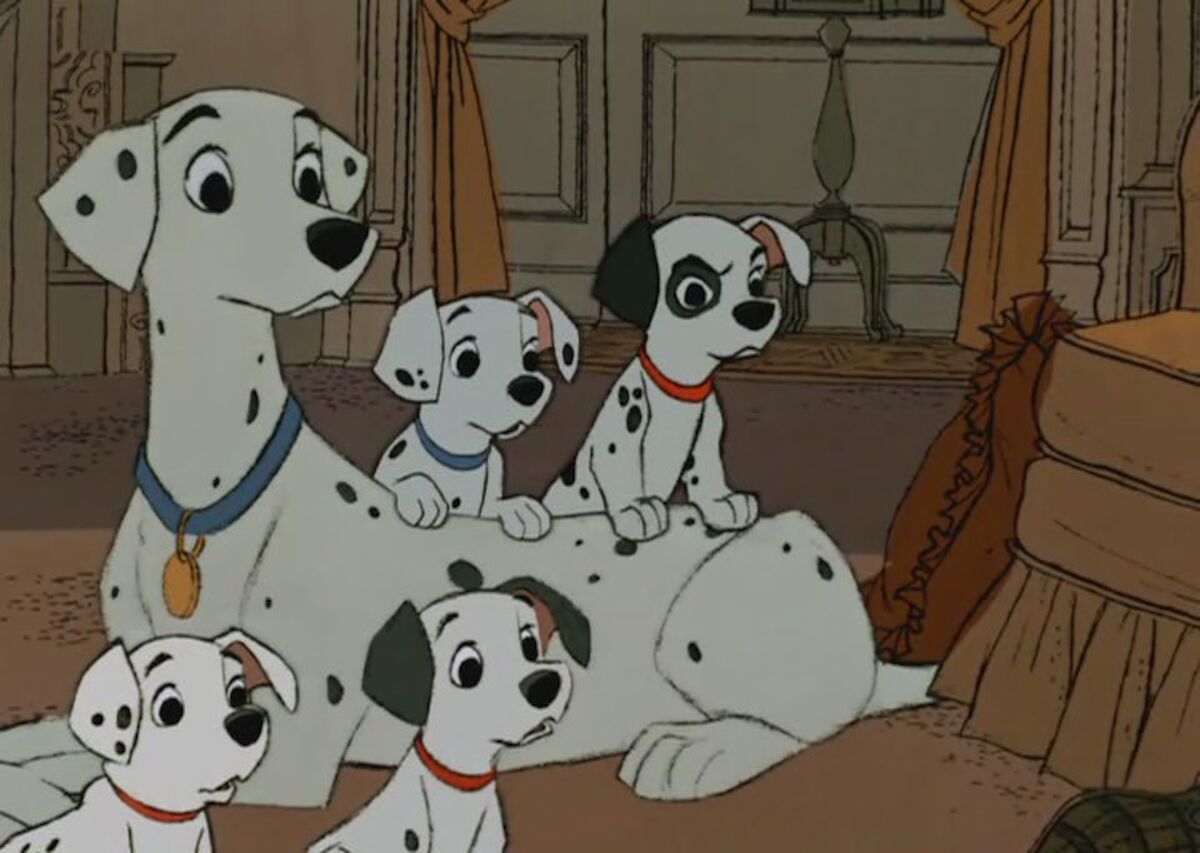 The Regular-Dalmatian-Pup Patch/Gallery | The Shared-Combined ... The Regular-Dalmatian-Pup Patch/Gallery | The Shared-Combined ...