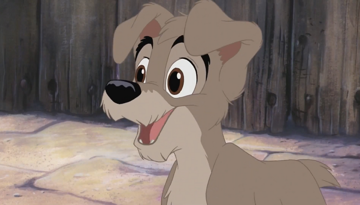The Brownish-Gray-Mutt Scamp | The Shared-Combined Crossovers for An ... The Brownish-Gray-Mutt Scamp | The Shared-Combined Crossovers for An ...
