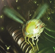 Formic Scout Ship | Ender's Game Wiki | Fandom