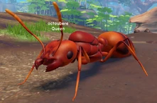 Queen | Ant life v3 Wiki | Fandom