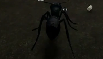 Discuss Everything About Ant Life Wiki | Fandom