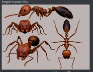 Ant Roles | Ant Life Wiki | Fandom