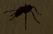 Ant Roles | Ant Life Wiki | Fandom