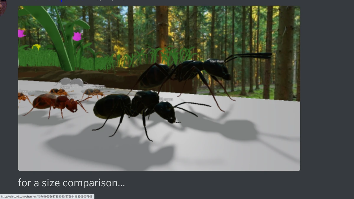 Titan major | Ant Life Wiki | Fandom