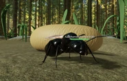 Ant Roles | Ant Life Wiki | Fandom