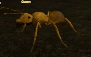 Ant Life V1 | Ant Life Wiki | Fandom
