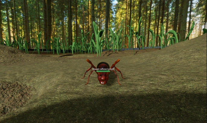 Queen | Ant Life Wiki | Fandom