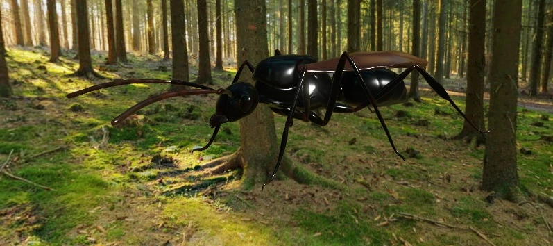 Drone | Ant Life Wiki | Fandom