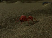 Ant Life V3 | Ant Life Wiki | Fandom
