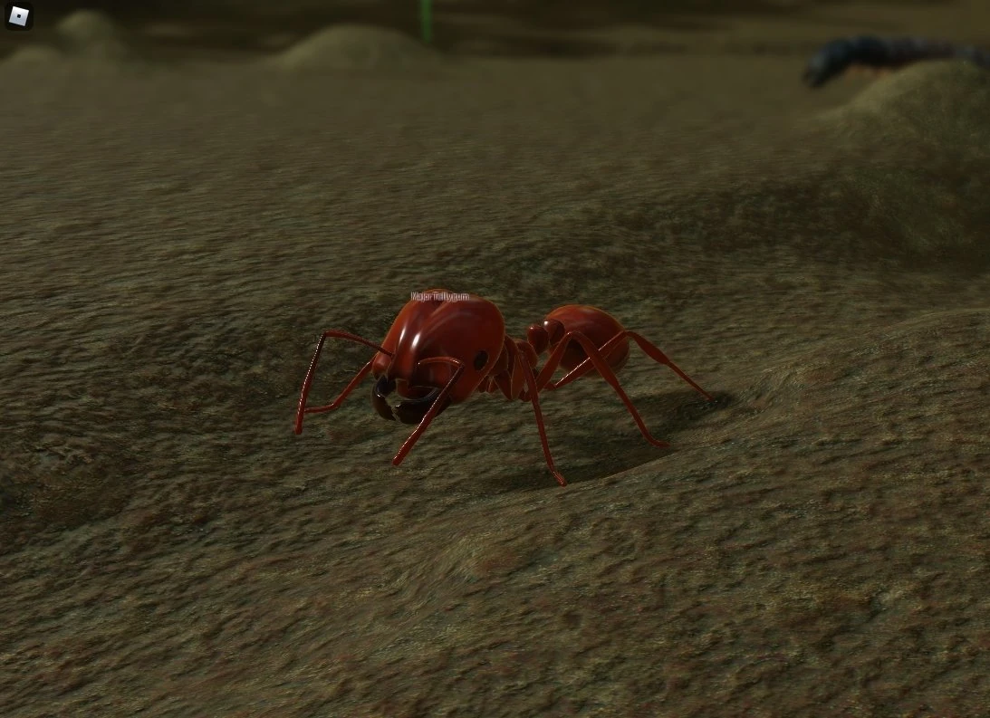 Upcoming Content | Ant Life Wiki | Fandom