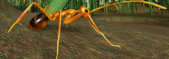 Ant Roles | Ant Life Wiki | Fandom