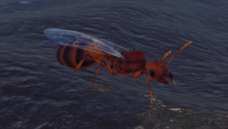 Alate | Ant Life Wiki | Fandom