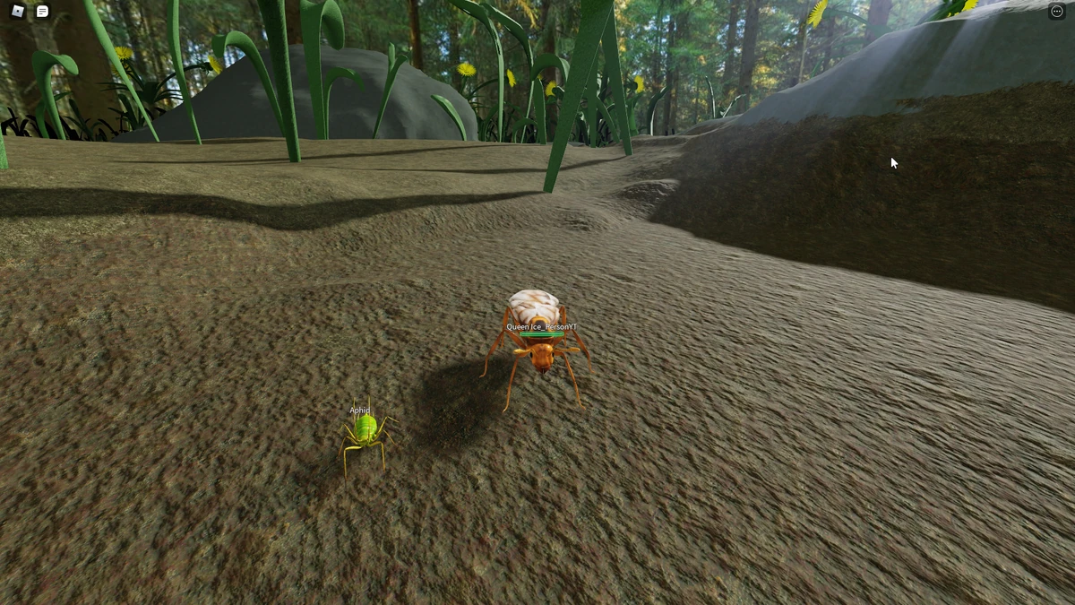 Aphid | Ant Life Wiki | Fandom