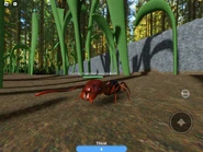 Ant Roles | Ant Life Wiki | Fandom