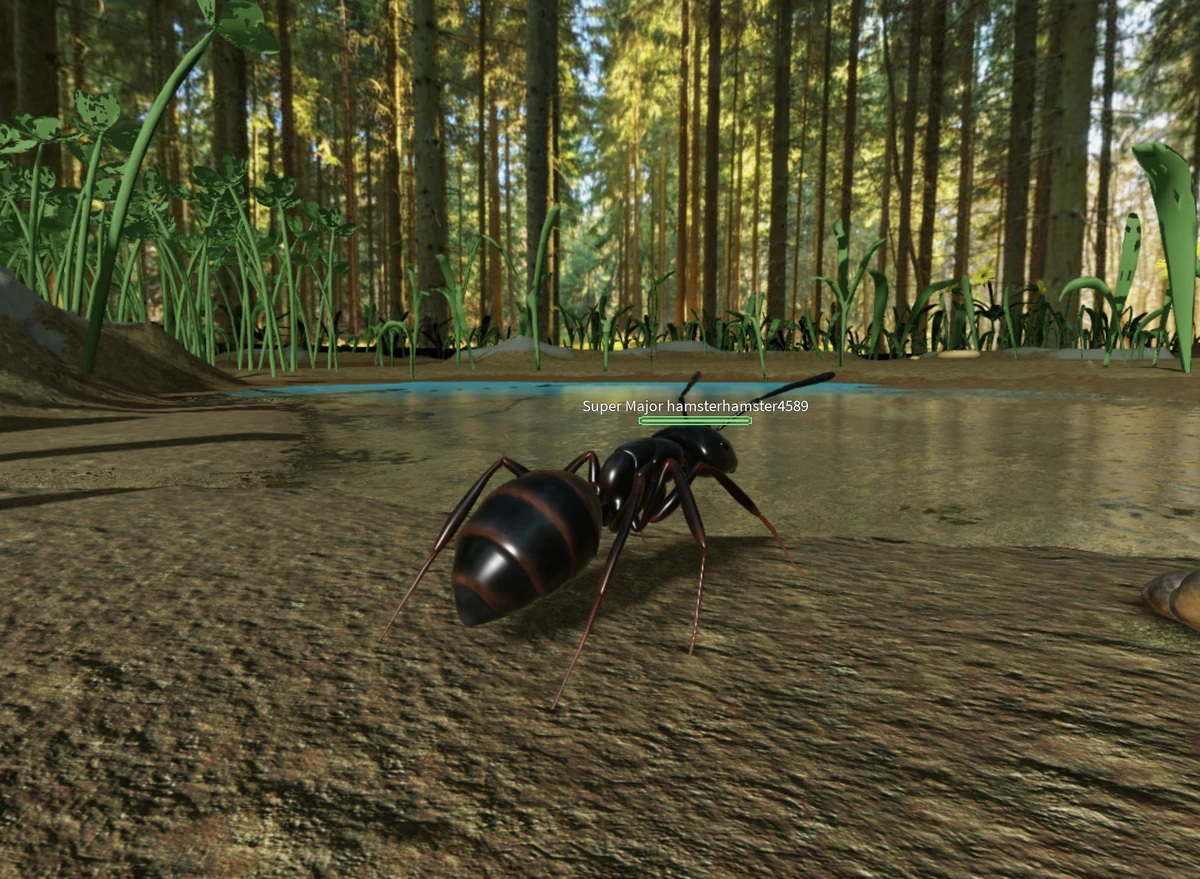 Super Major | Ant Life Wiki | Fandom