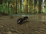 Ant Roles | Ant Life Wiki | Fandom