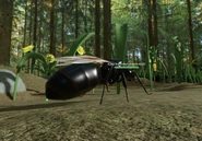 Ant Life V2 | Ant Life Wiki | Fandom