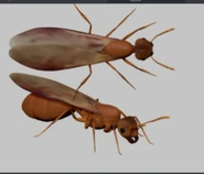 Ant Roles | Ant Life Wiki | Fandom