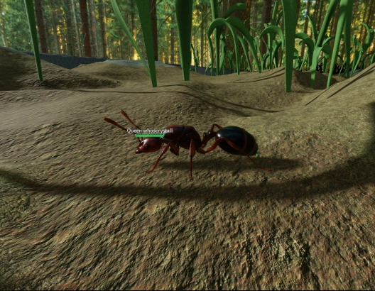 Queen | Ant Life Wiki | Fandom