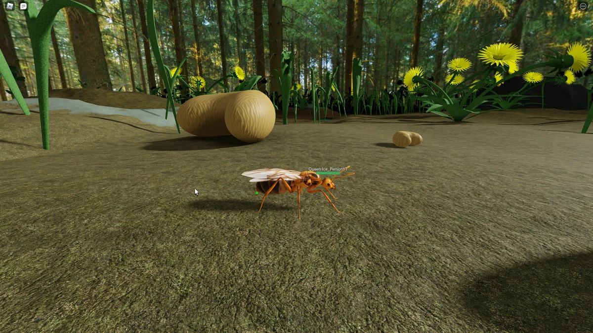 Seeds | Ant Life Wiki | Fandom