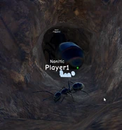 Ant Life V3 | Ant Life Wiki | Fandom
