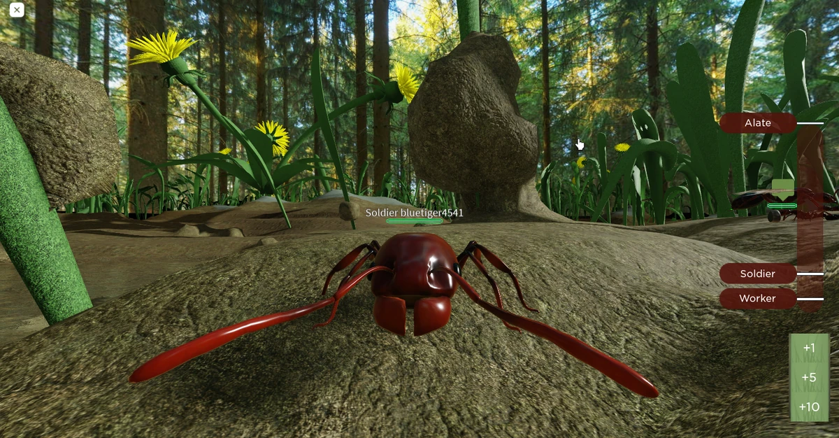 Soldier | Ant Life Wiki | Fandom