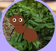 Ant 8372 | Ant Mountain Wiki | Fandom