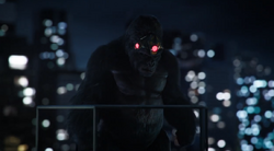 Grodd (Arrowverse) | Schurken Wiki | Fandom