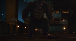 Grodd (Arrowverse) | Schurken Wiki | Fandom