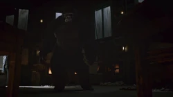 Grodd (Arrowverse) | Schurken Wiki | Fandom