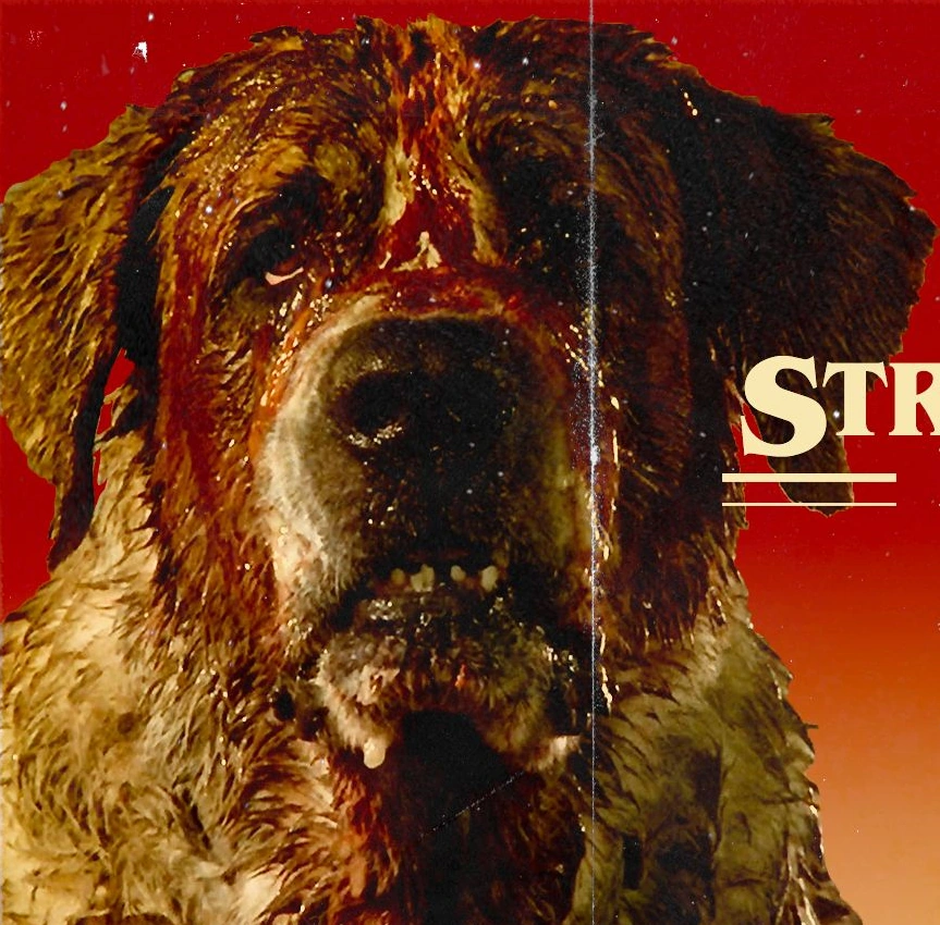 Cujo | Schurken Wiki | Fandom