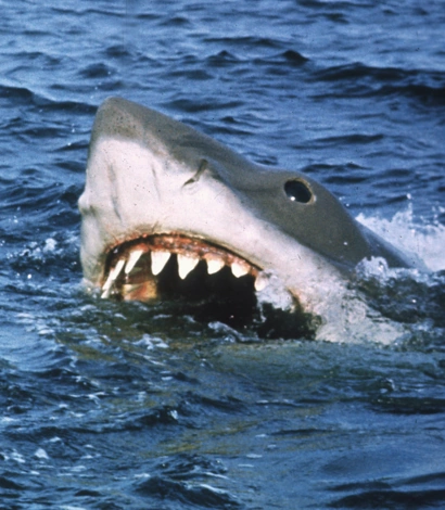 Bruce (Der weiße Hai) | Schurken Wiki | Fandom