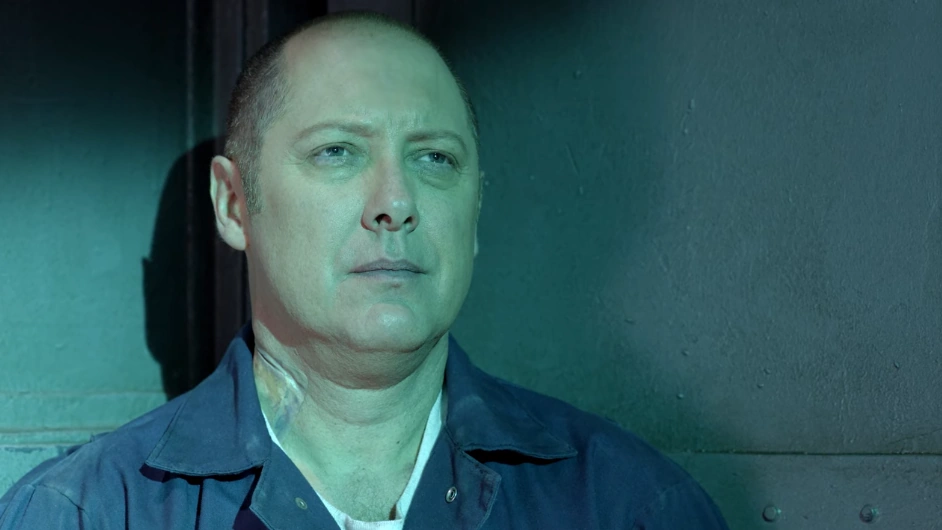 Raymond Reddington/Galerie | Schurken Wiki | Fandom