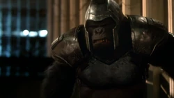 Grodd (Arrowverse) | Schurken Wiki | Fandom