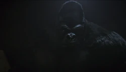 Grodd (Arrowverse) | Schurken Wiki | Fandom