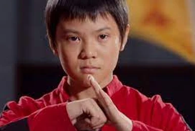 Zhenwei Wang Karate Kid